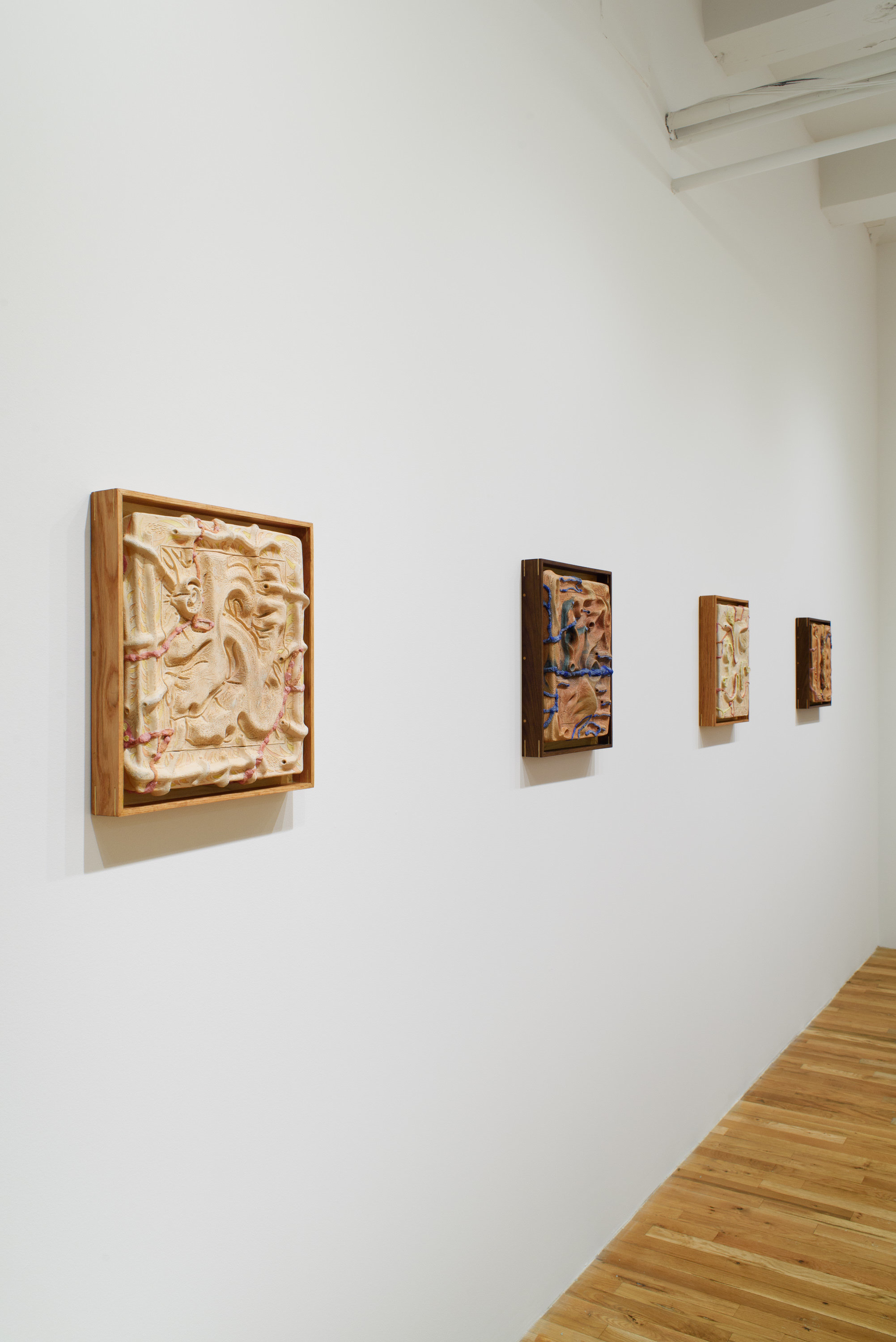 Fleisher/Ollman Gallery » Exhibitions » Molly Metz: Vernal Pool