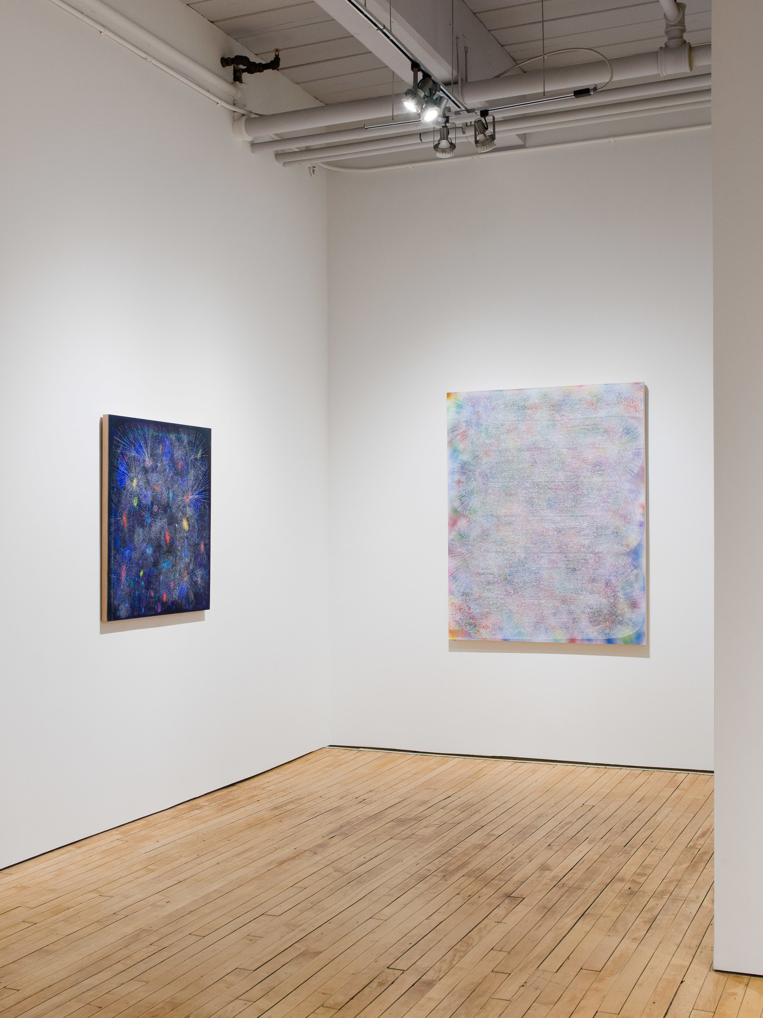 Fleisher/Ollman Gallery » Exhibitions » Sarah Gamble: New Paintings