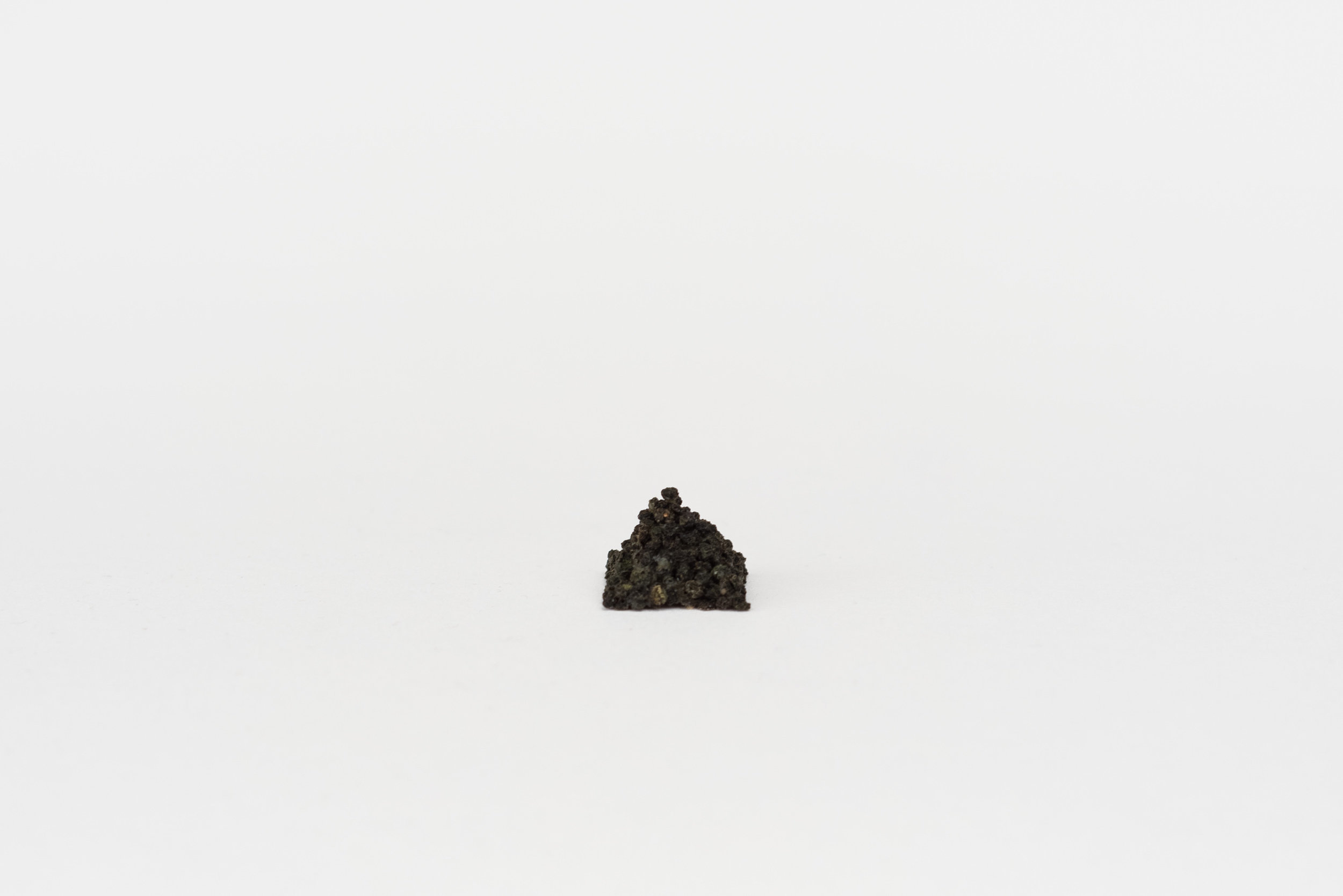 Fleisher/Ollman Gallery » Work » The Dufala Brothers - Caterpillar Poop ...